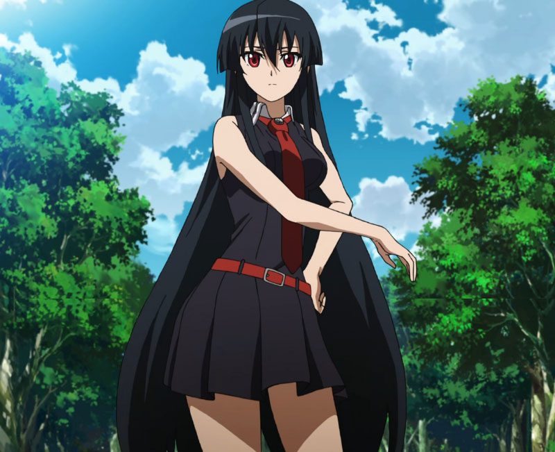 Akame, a Deadly Assassin - All About Anime and Manga